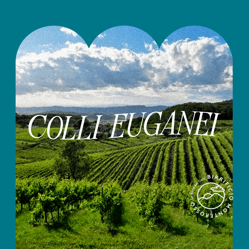 Box Colli Euganei – Birrificio Monterosso